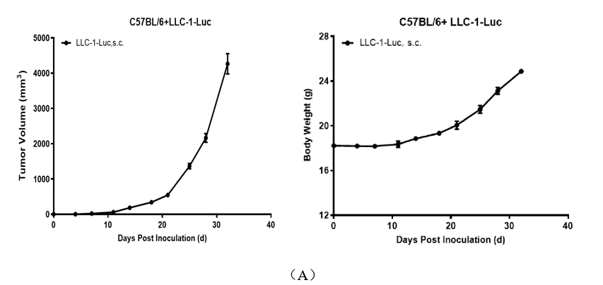 LLC1-Luc_GemPharmatech