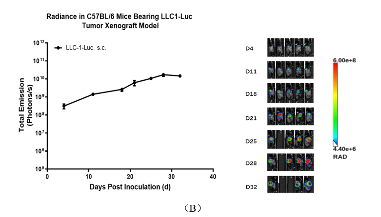 LLC1-Luc_GemPharmatech