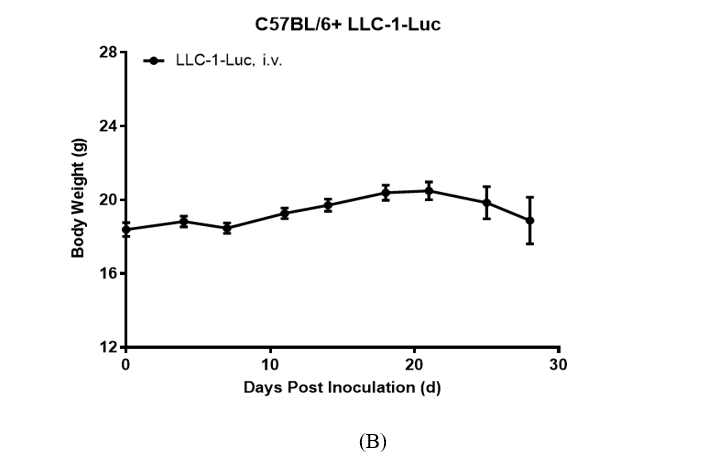 LLC1-Luc_GemPharmatech