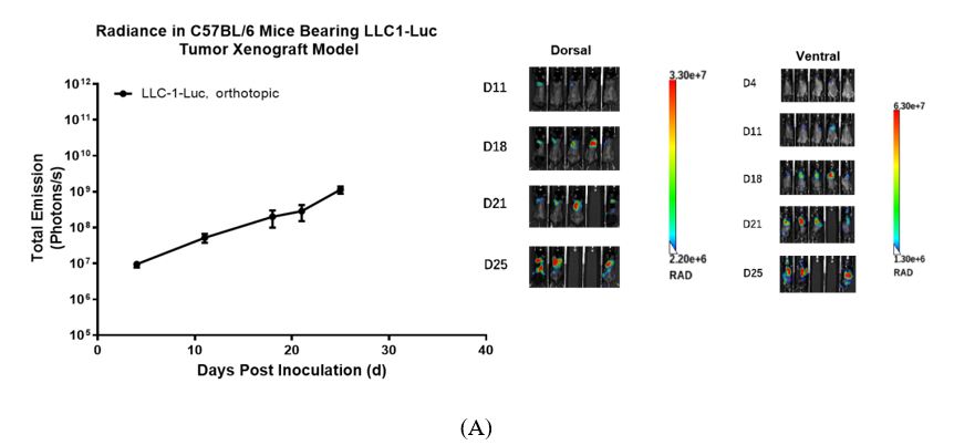 LLC1-Luc_GemPharmatech