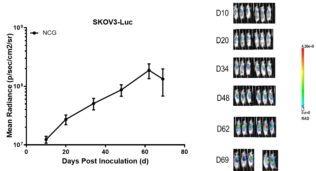 SKOV3-Luc_GemPharmatech