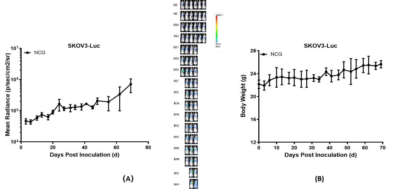SKOV3-Luc_GemPharmatech