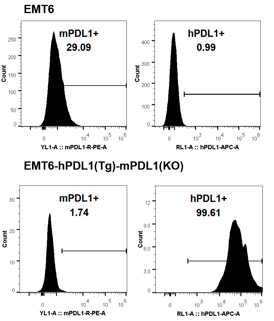 EMT6-hPDL1(Tg)-mPDL1(KO)_GemPharmatech