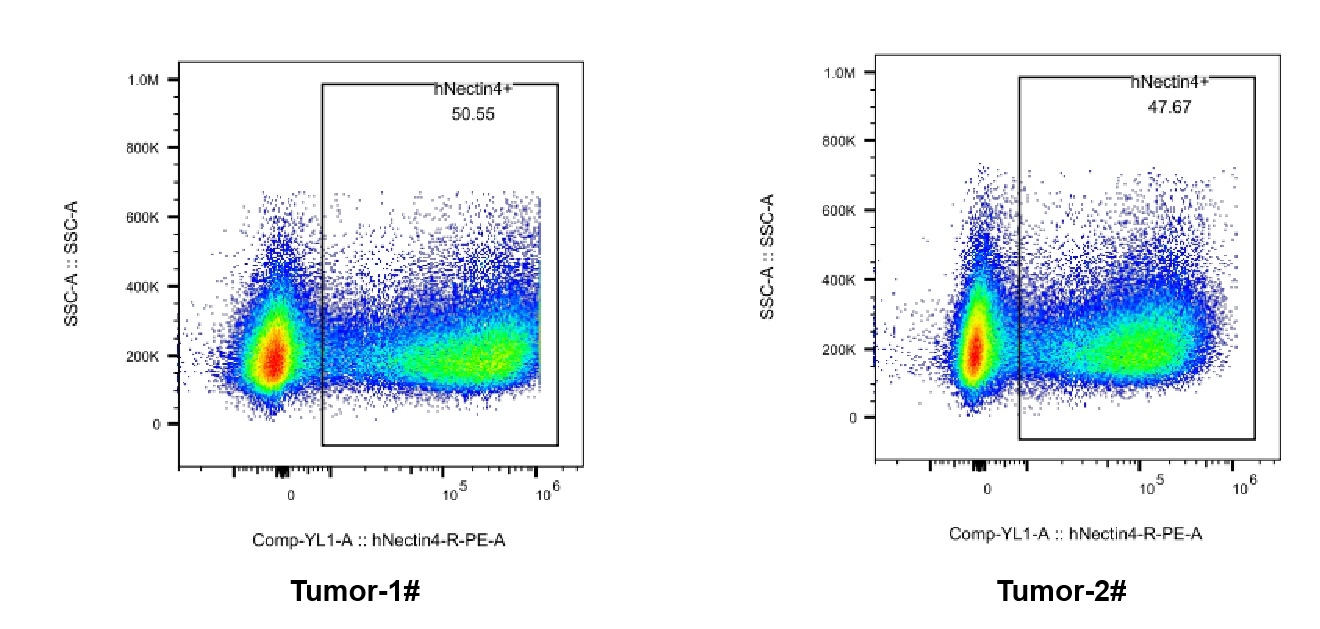 MC38-hNectin4 (Tg)-mNectin4(KO)_GemPharmatech