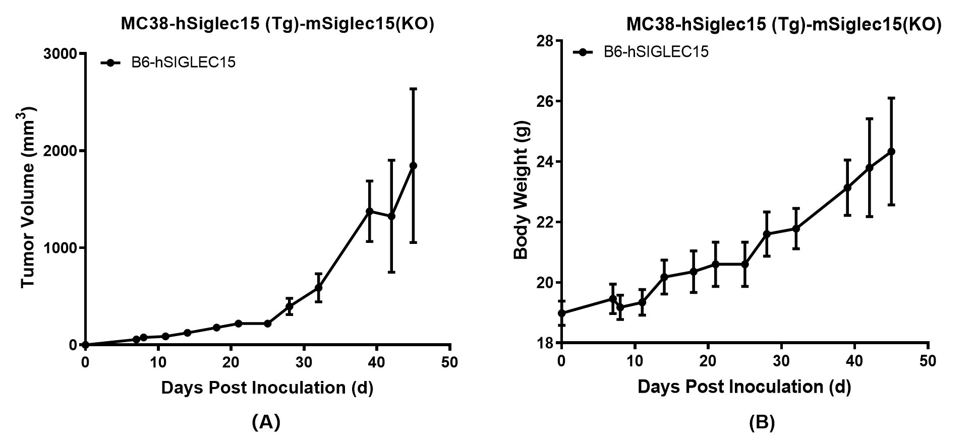 MC38-hSiglec15 (Tg)-mSiglec15(KO)_GemPharmatech