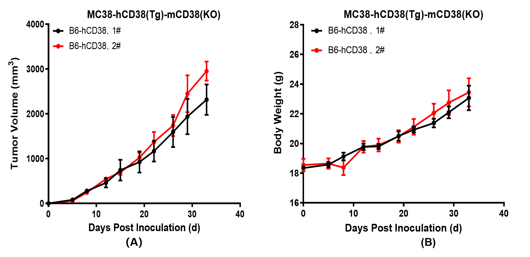 MC38-hCD38(Tg)-mCD38(KO)_GemPharmatech