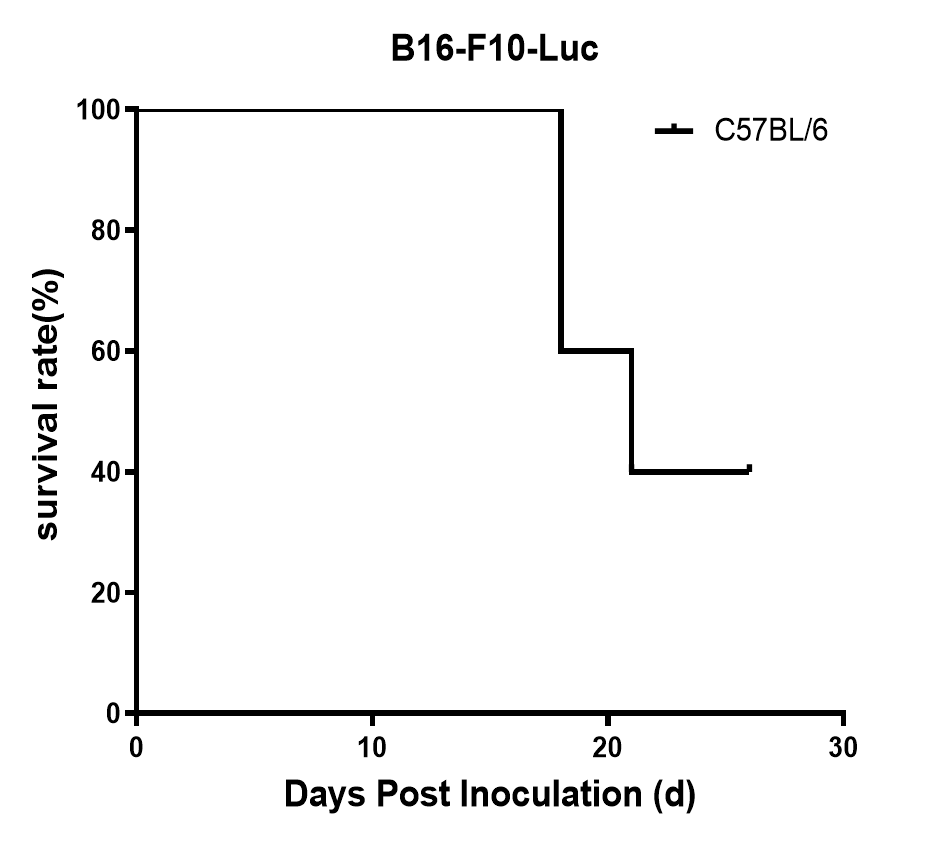 B16-F10-Luc_GemPharmatech