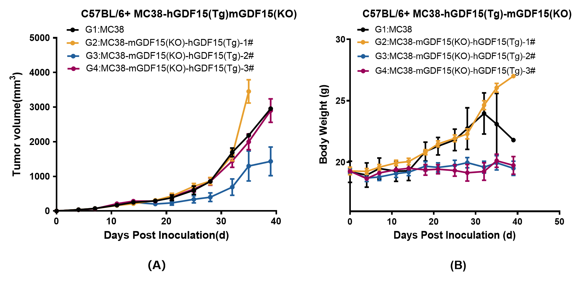 MC38-hGDF15(Tg)-mGDF15(KO)_GemPharmatech