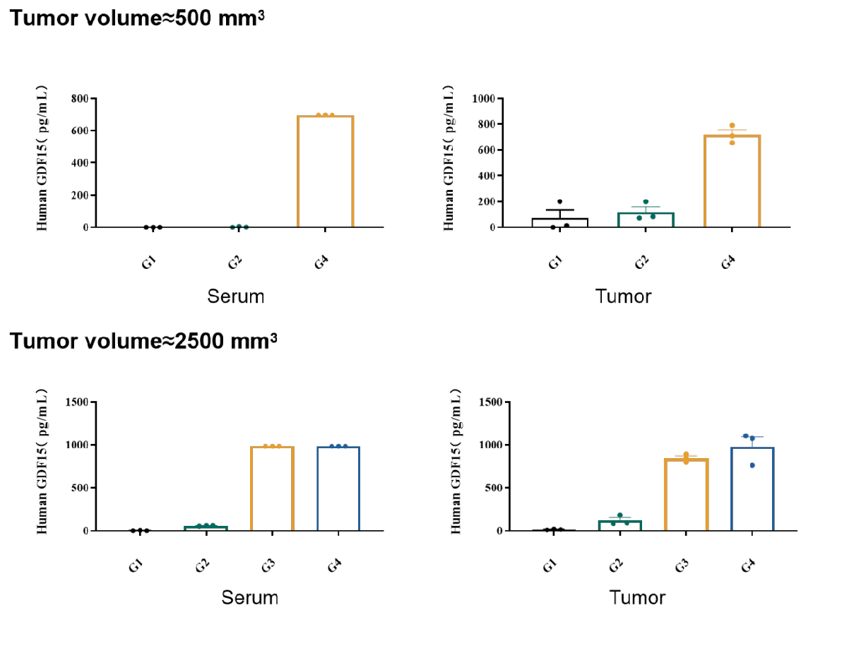 MC38-hGDF15(Tg)-mGDF15(KO)_GemPharmatech