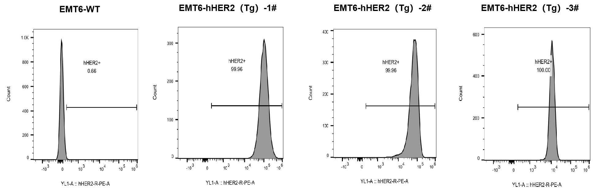 EMT6-hHER2(Tg)_GemPharmatech