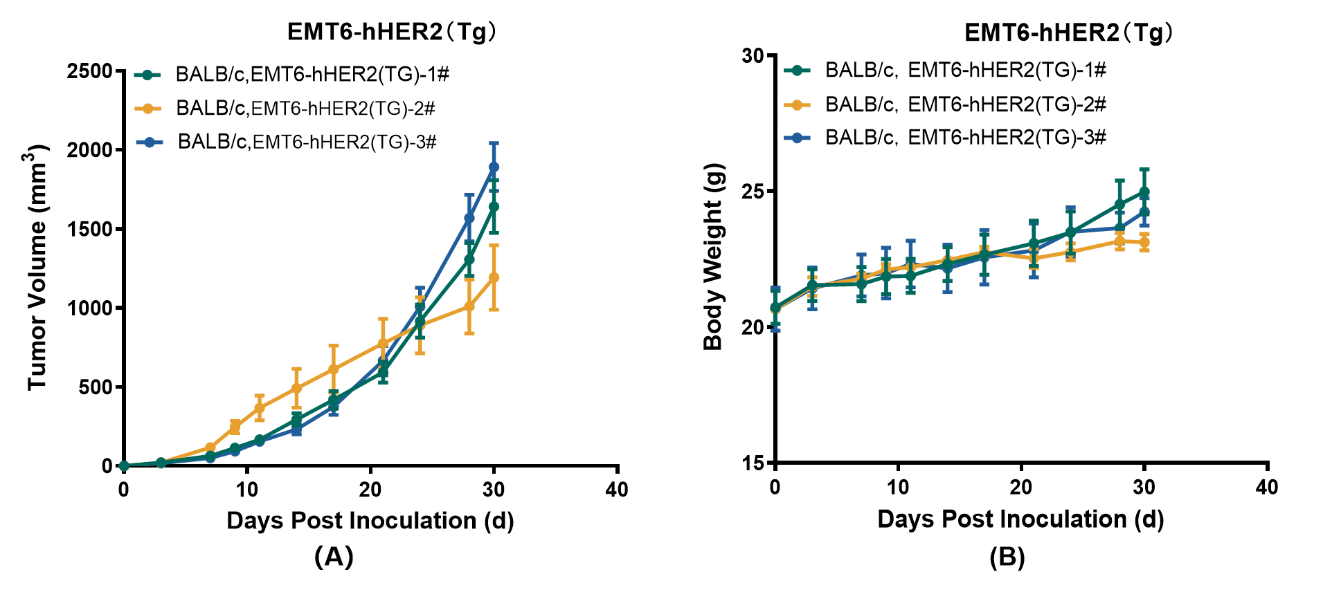 EMT6-hHER2(Tg)_GemPharmatech