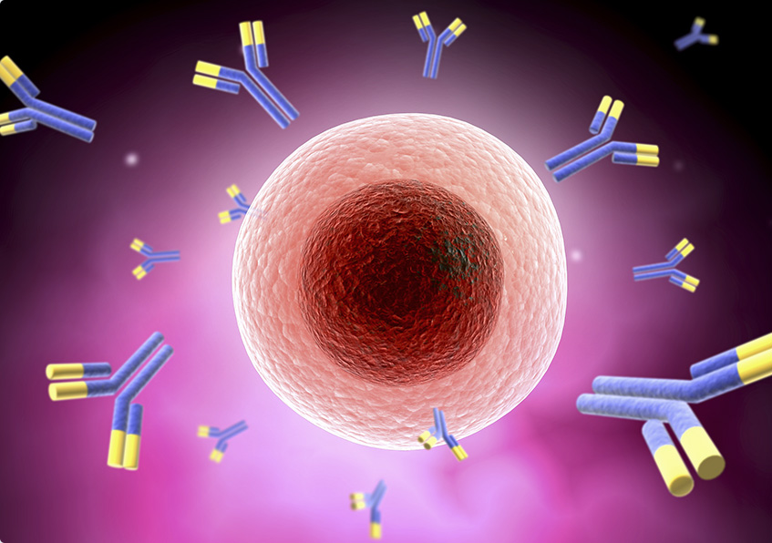 MOUSE MODELS_GemPharmatech